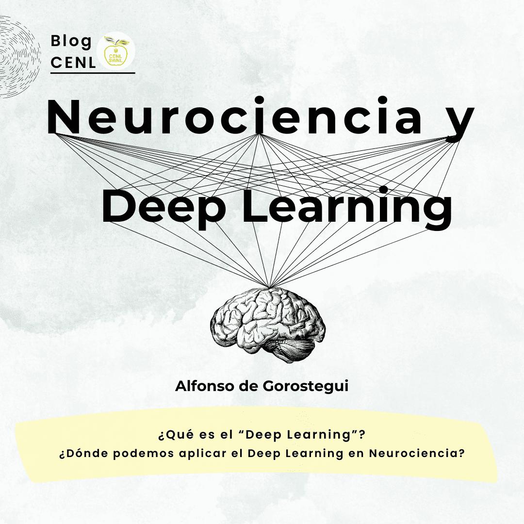 Revolutionizing Neuroscience with Deep Learning - Cenetherlands Revolutionizing Neuroscience with Deep Learning - Cenetherlands